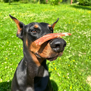 Страница автора Dober-Крут | WB Guru